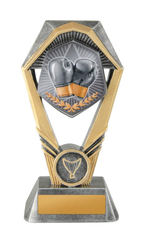 18A-TS32G Hex Tower-Boxing 17cm – Trophy Shop