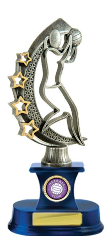 N24-2105 Netball Fig. on Column 23cm – Trophy Shop