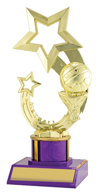 N4033 Netball Purple Dazzle 21cm – Trophy Shop