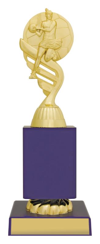 N4157 Netball Blue Column Series 24cm – Trophy Shop