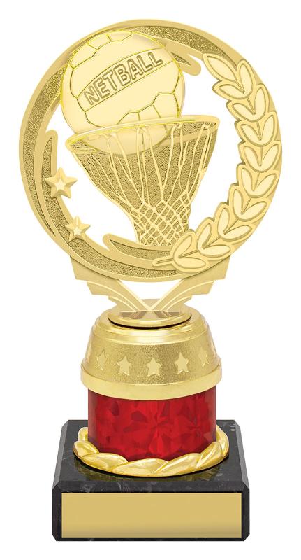 N4185 Netball Gold Torch 16.5cm – Trophy Shop
