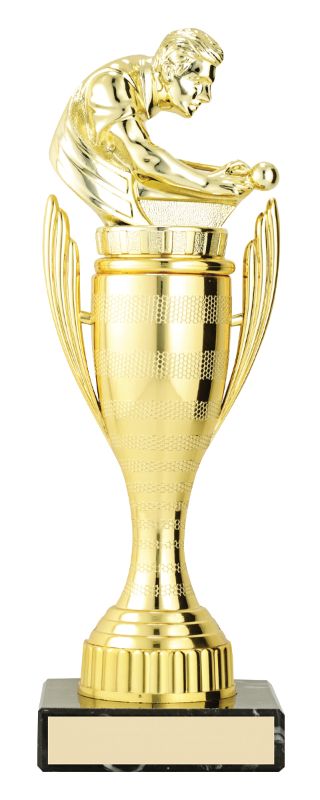 X3324 Pool Guardian Cup 23.5cm – Trophy Shop
