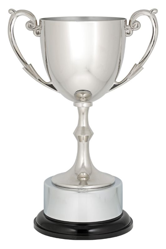 X3785 Recognition Cup 26.5cm – Trophy Shop
