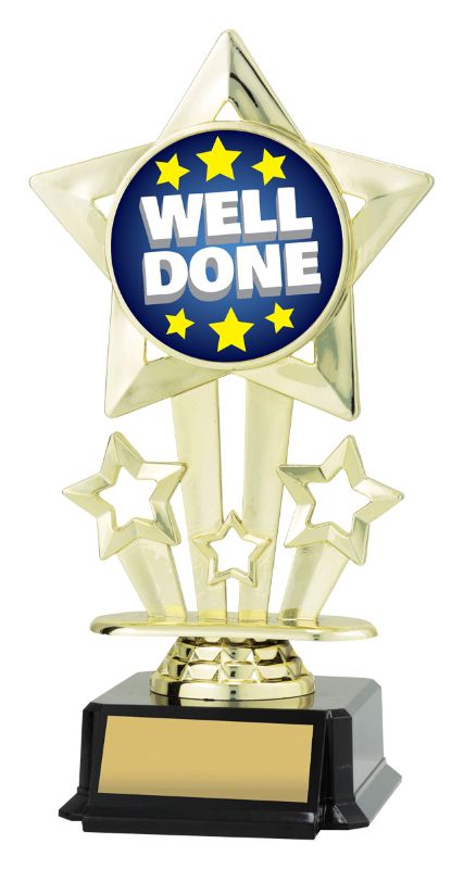ASS550 Icon Star Well Done 18cm – Trophy Shop