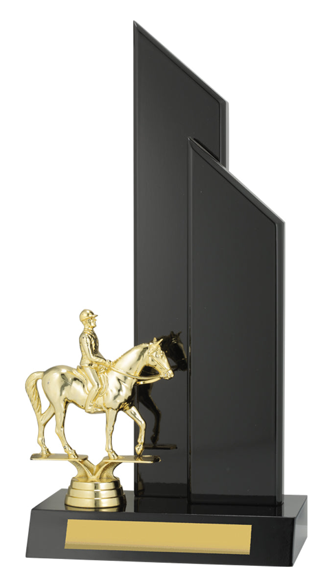 TIM12 Black Double Wing – Trophy Shop
