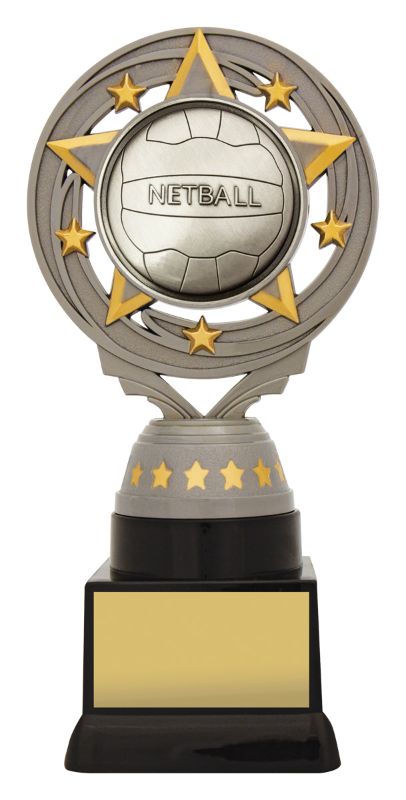 FT591C Silver Torch Netball 18cm – Trophy Shop