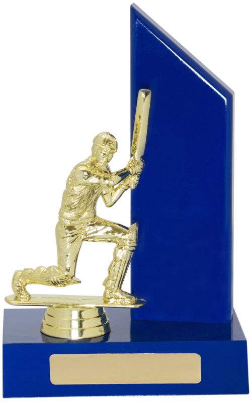 S9033 Cricket Blue Wing 20cm – Trophy Shop